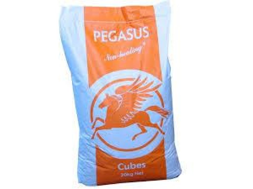 Pegasus Value Cubes 20kg | Country Corner Scotland